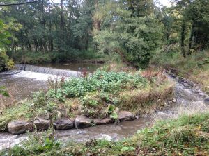 Home v1 – Wear Rivers Trust