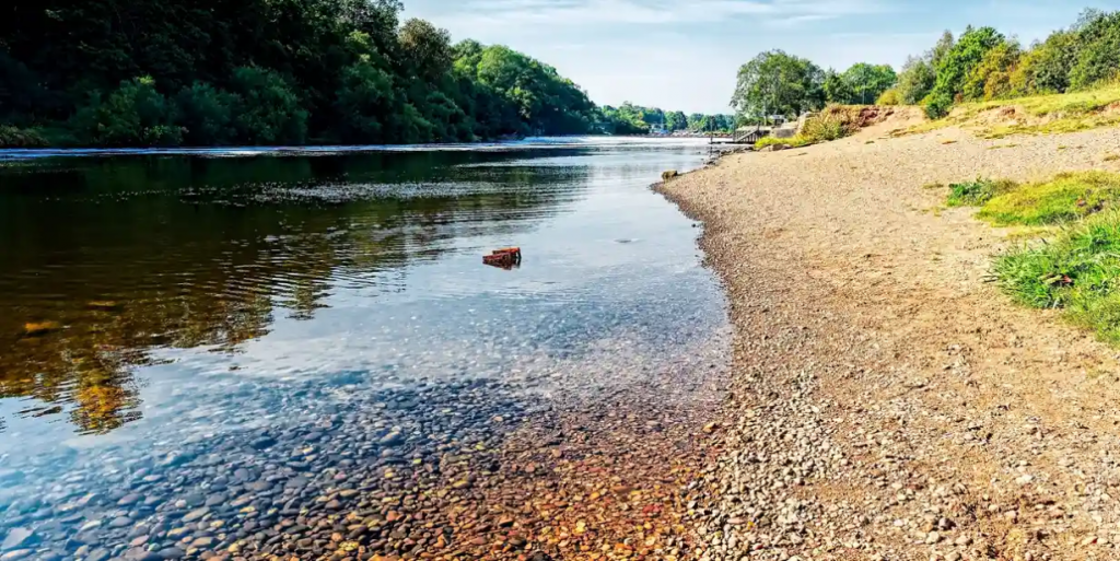 A message from the Rivers Trust CEO on World Rivers Day – Wear Rivers Trust