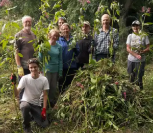 Invasive Non Native Species – Wear Rivers Trust