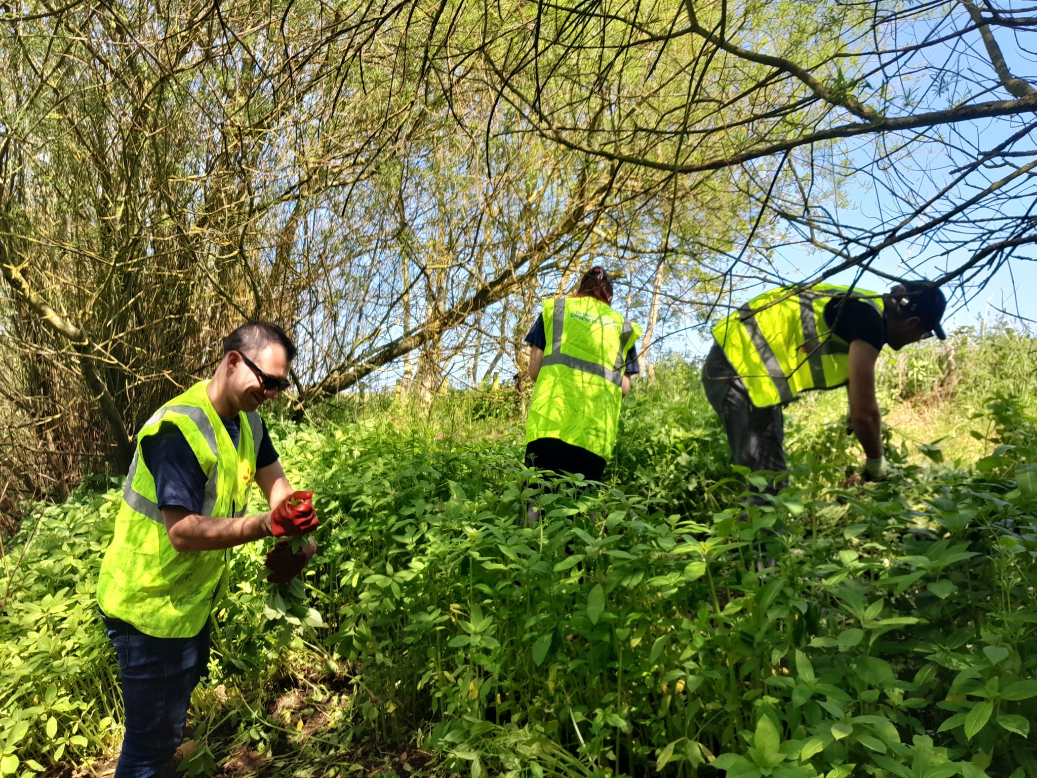 Get Involved – Wear Rivers Trust