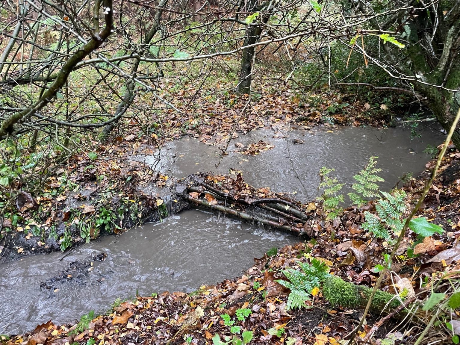 Natural Flood Management – Wear Rivers Trust