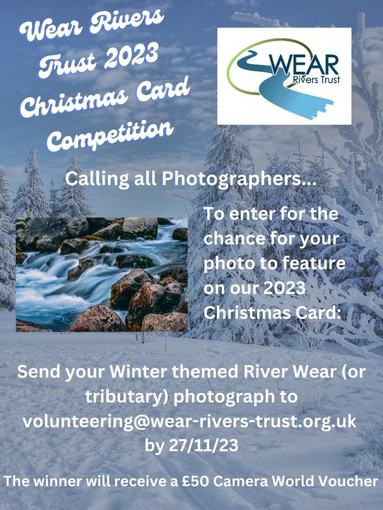 Christmas Card Competition – Wear Rivers Trust