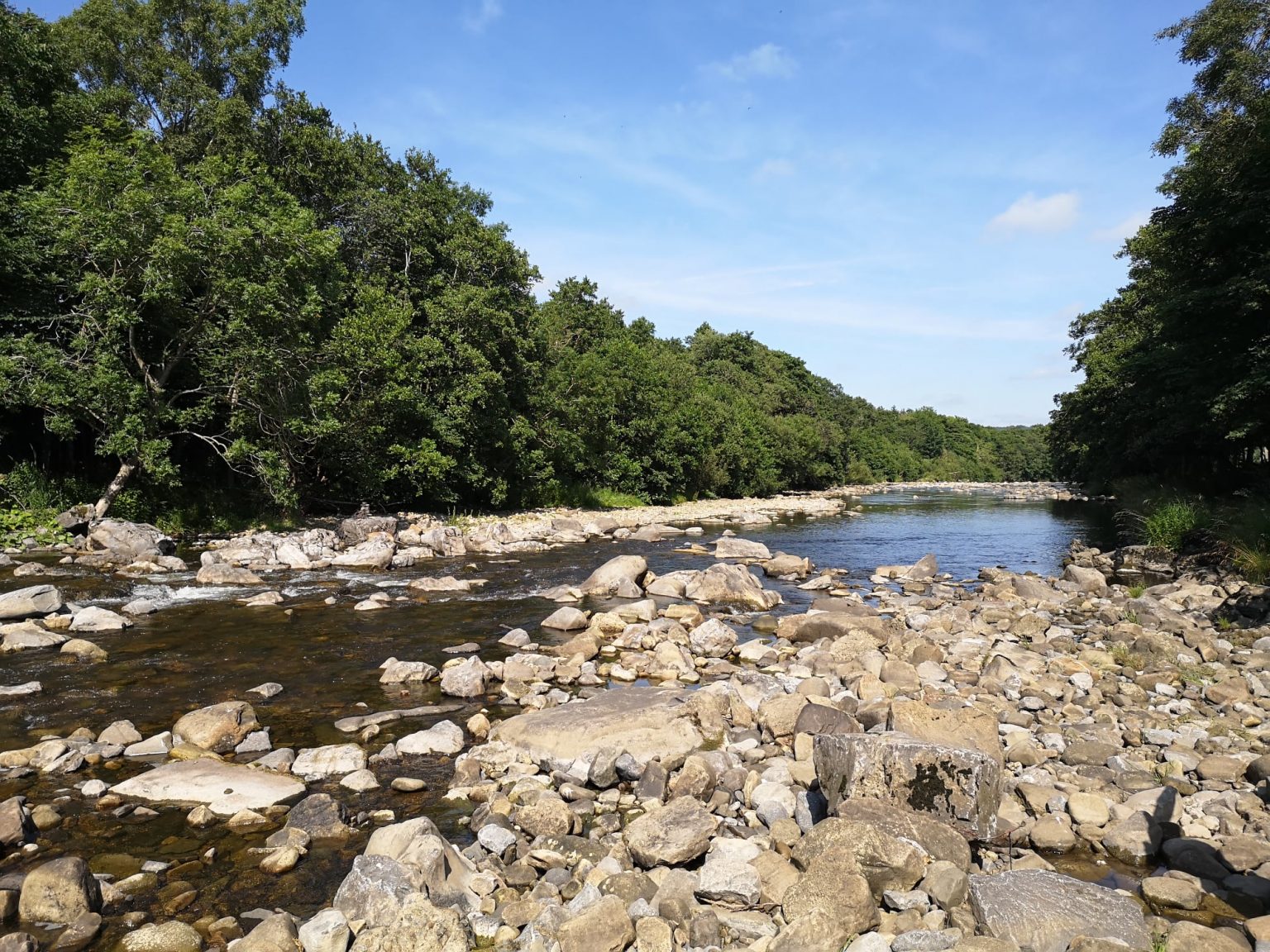 Fun & Food – Wear Rivers Trust