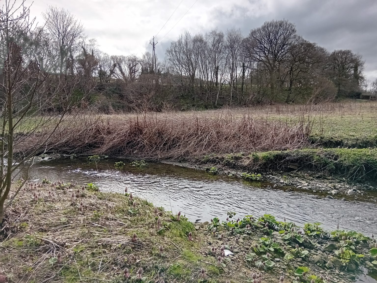Bluespaces Project Launch: Deerness – Wear Rivers Trust | North East ...